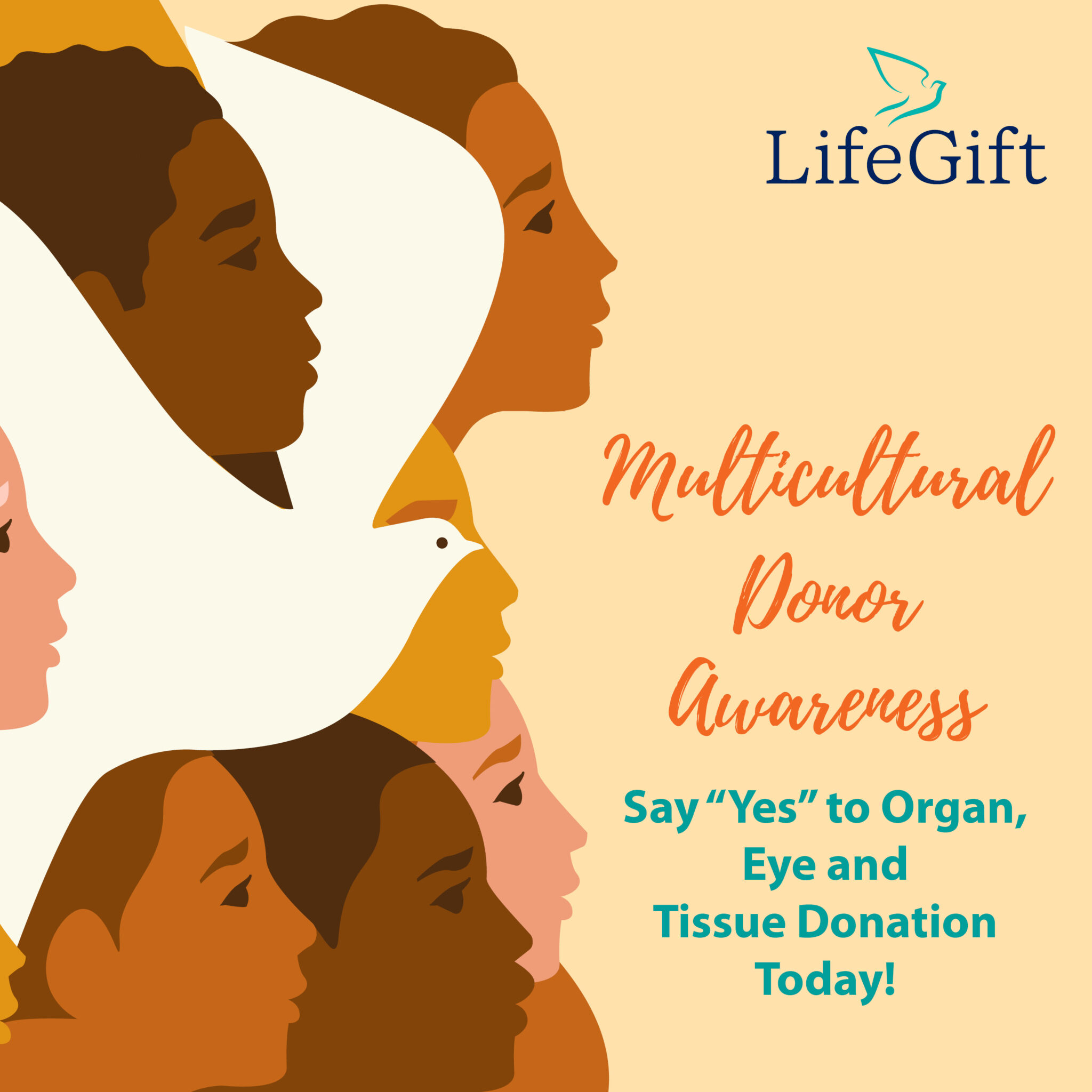 Reflecting on Multicultural Donor Awareness Month – LifeGift